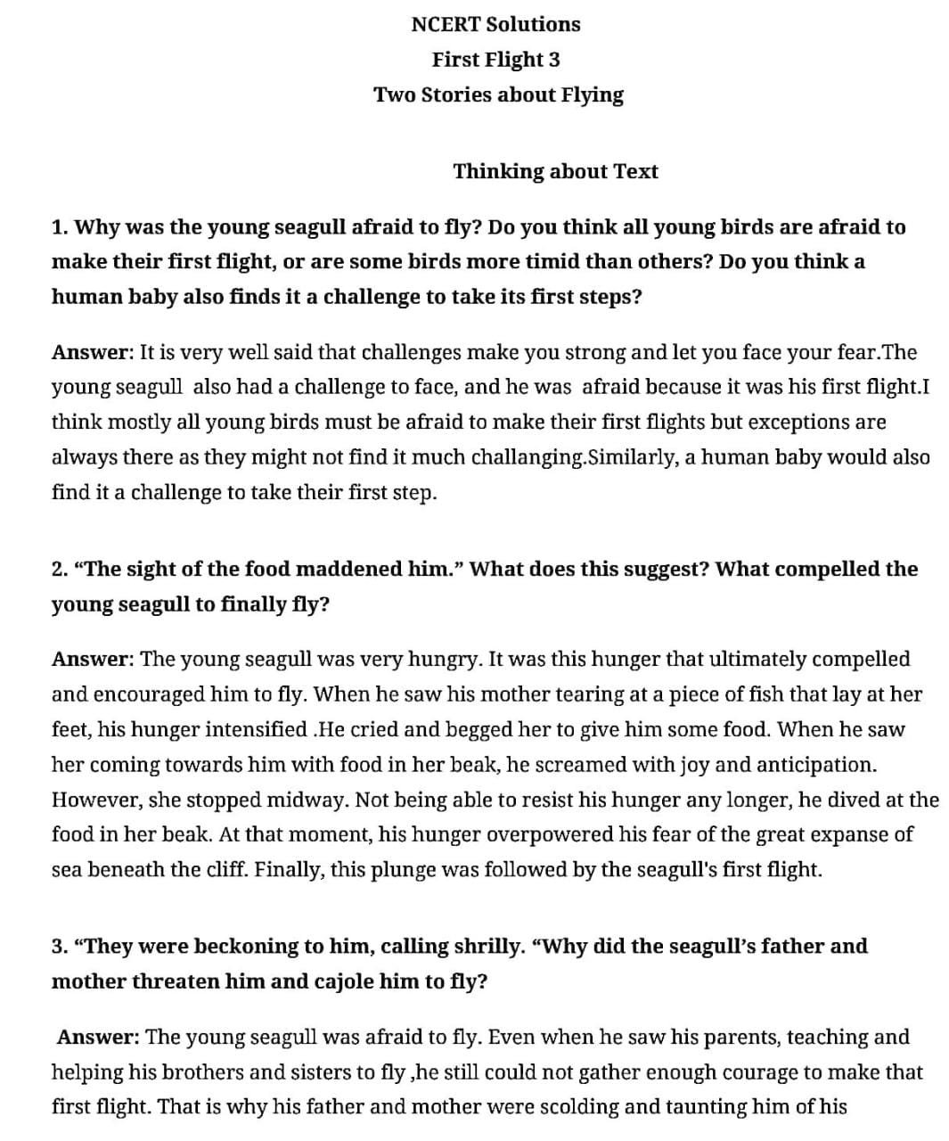 MP Board Solution Class 10th English Chapter 3 Two Stories about Flying ...