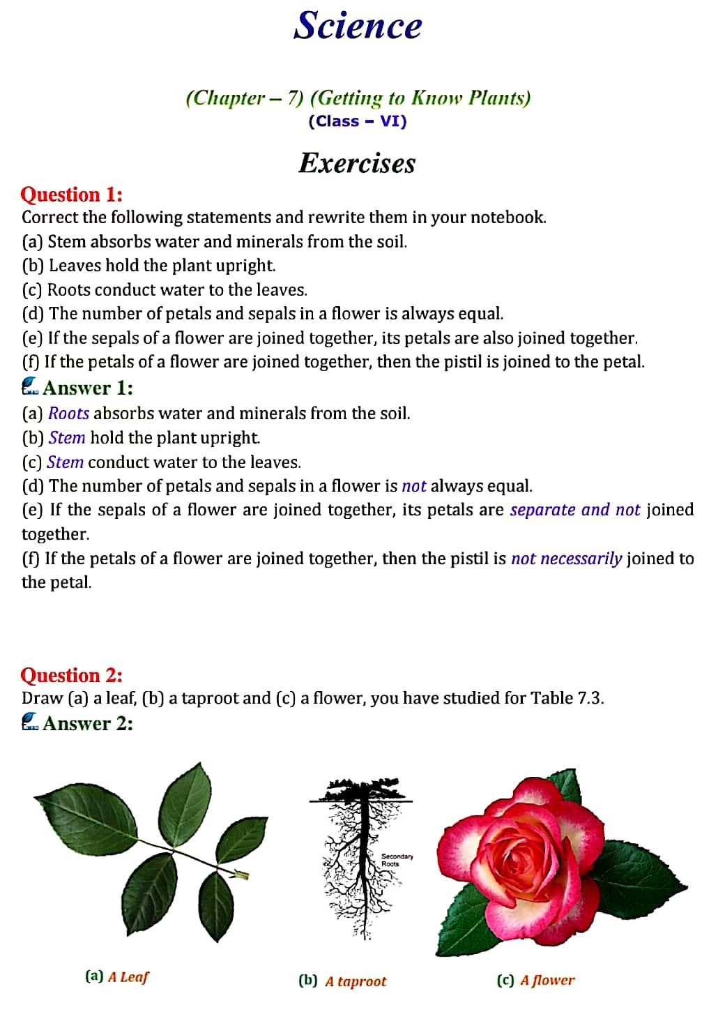 MP Board Solution Class 6th Science Chapter 7 Getting to Know Plants ...